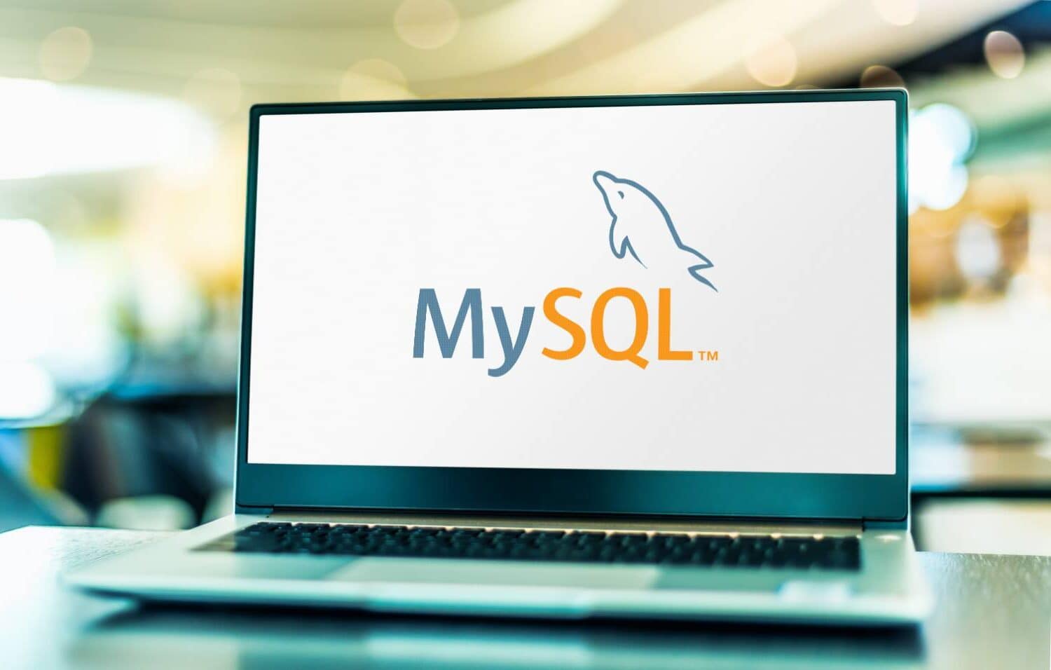 Access Database Hosting - CES Database Development